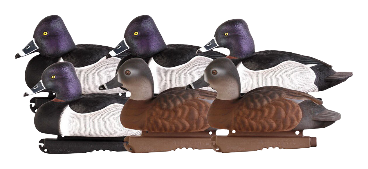 GHG Pro Grade Foam-Filled Ring-necked Duck Decoys 6 Pack | Cabela's